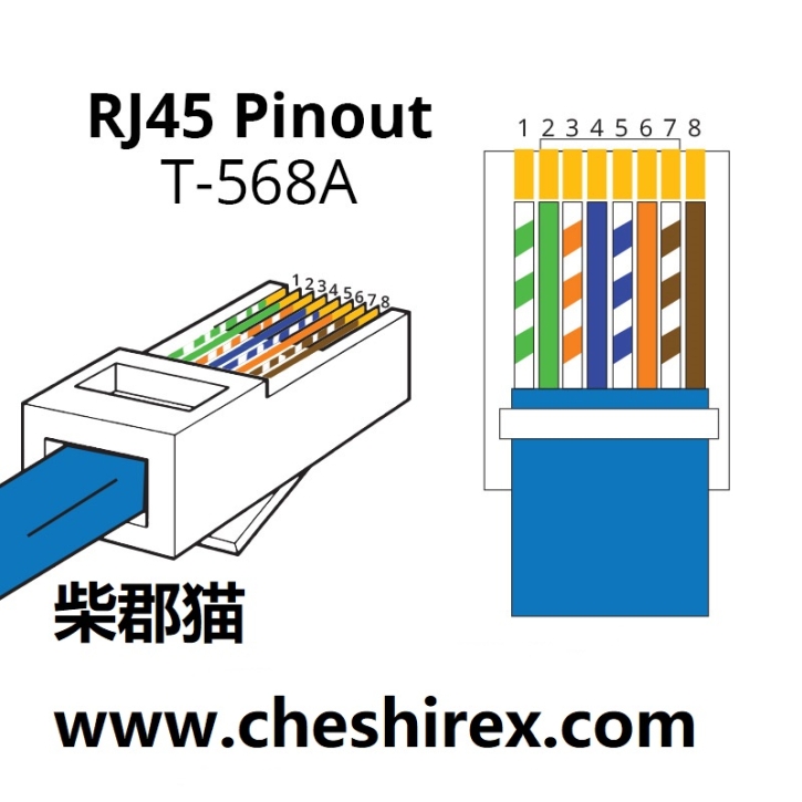 网线标准和水晶头相关知识 | 柴郡猫